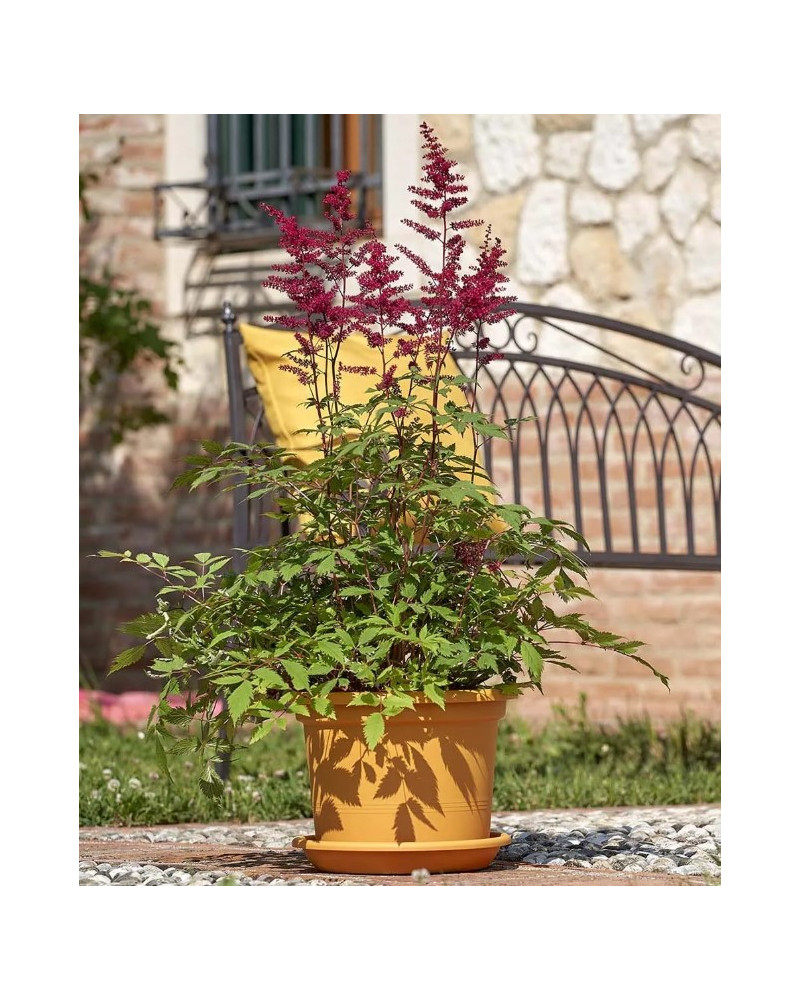 Pot PVC Mangue Gamme Geo 30 cm